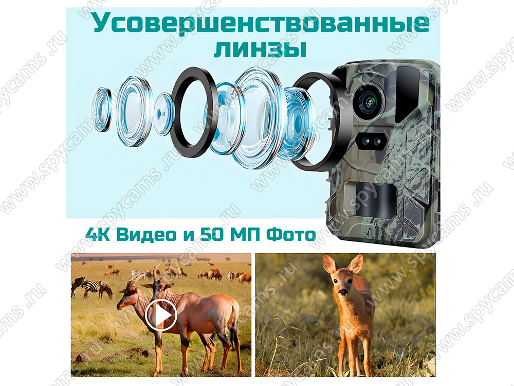 Уличная миниатюрная 4K фотоловушка «Филин MiNi 800» с невидимой ночной ...