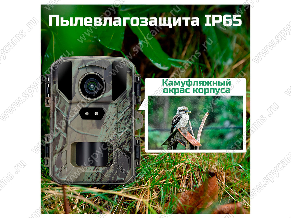 Уличная миниатюрная 4K фотоловушка «Филин MiNi 800» с невидимой ночной ...